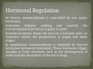 Metamorphosis - Developmental Biology Dr.M.Jothimuniyandi | PPTX
