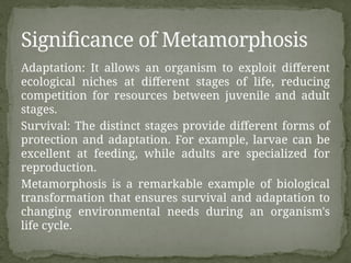 Metamorphosis - Developmental Biology Dr.M.Jothimuniyandi | PPTX ...