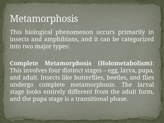 Metamorphosis - Developmental Biology Dr.M.Jothimuniyandi | PPTX ...