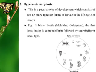 Metamorphosis: Life's Transformative Journey | PPTX