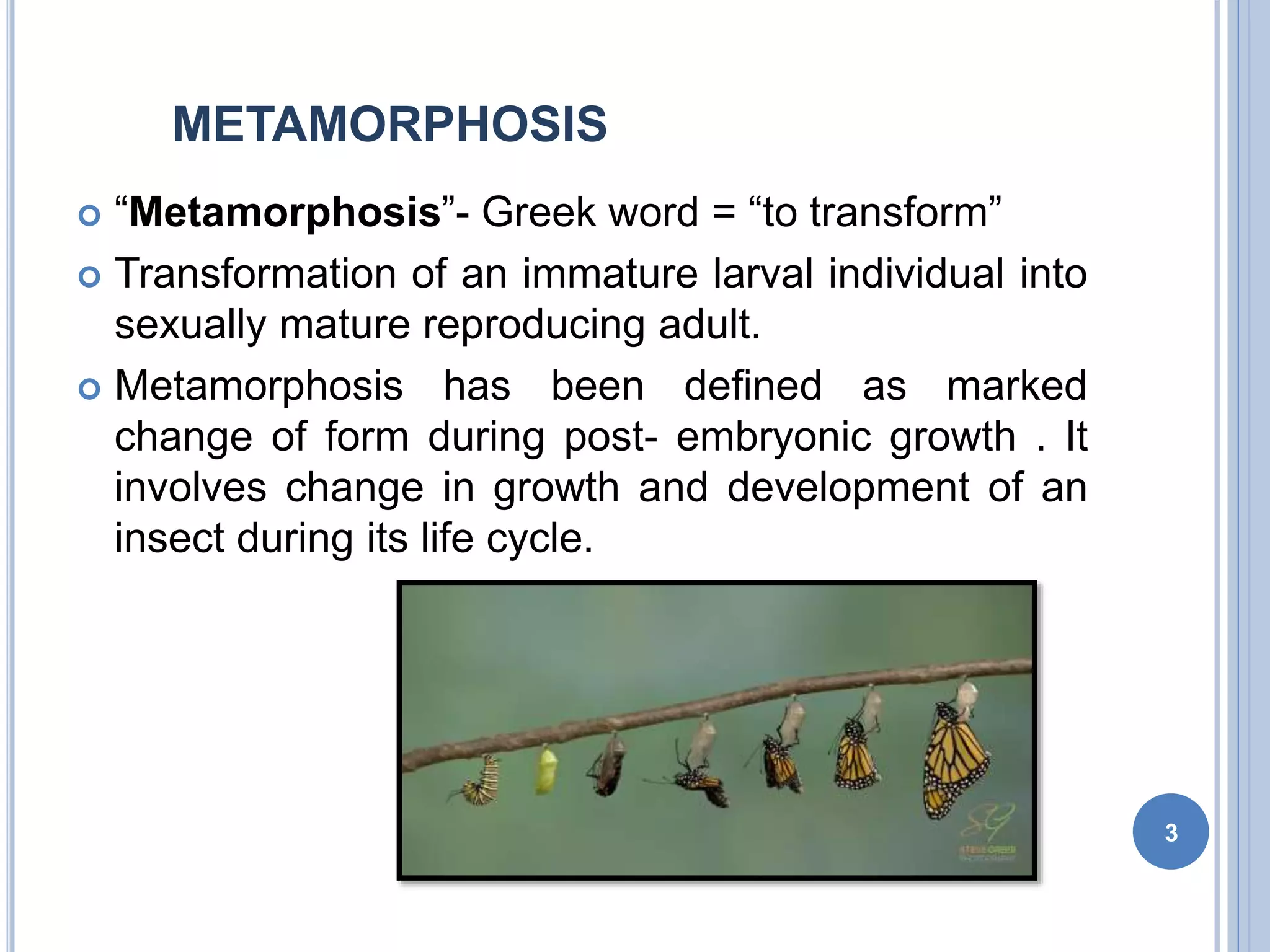 metamorphosis and diapause in insects.pptx