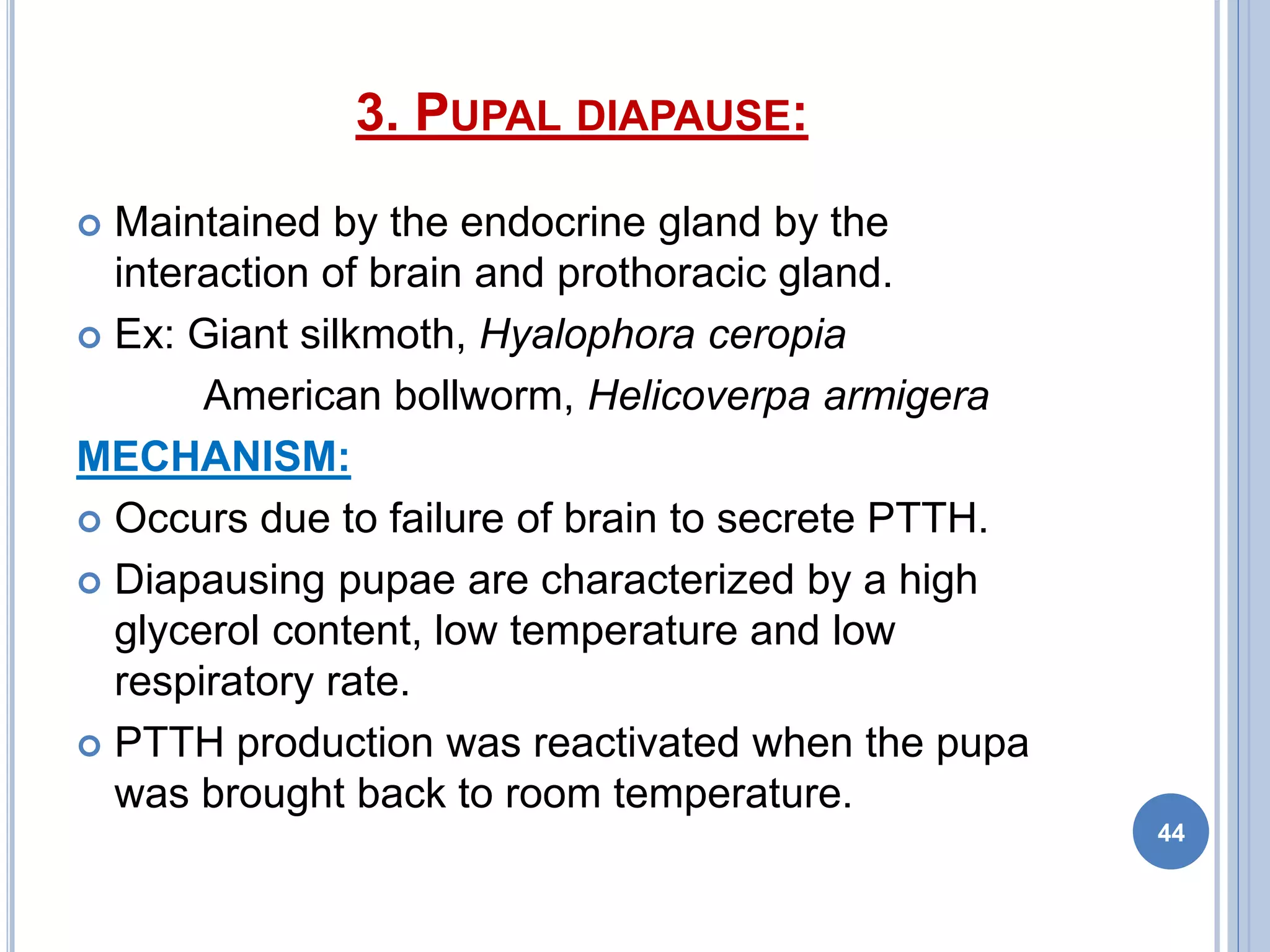 metamorphosis and diapause in insects.pptx