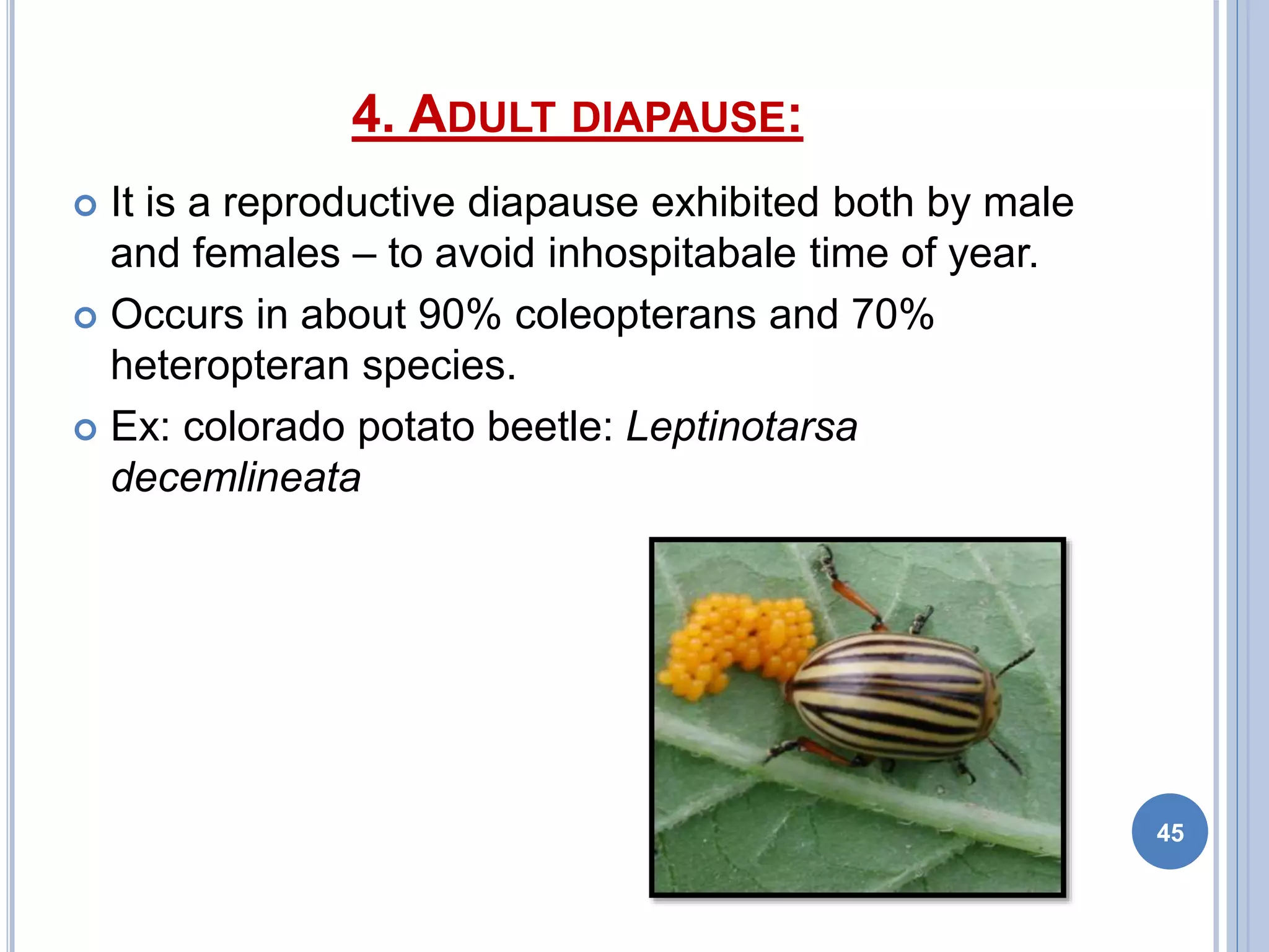 metamorphosis and diapause in insects.pptx