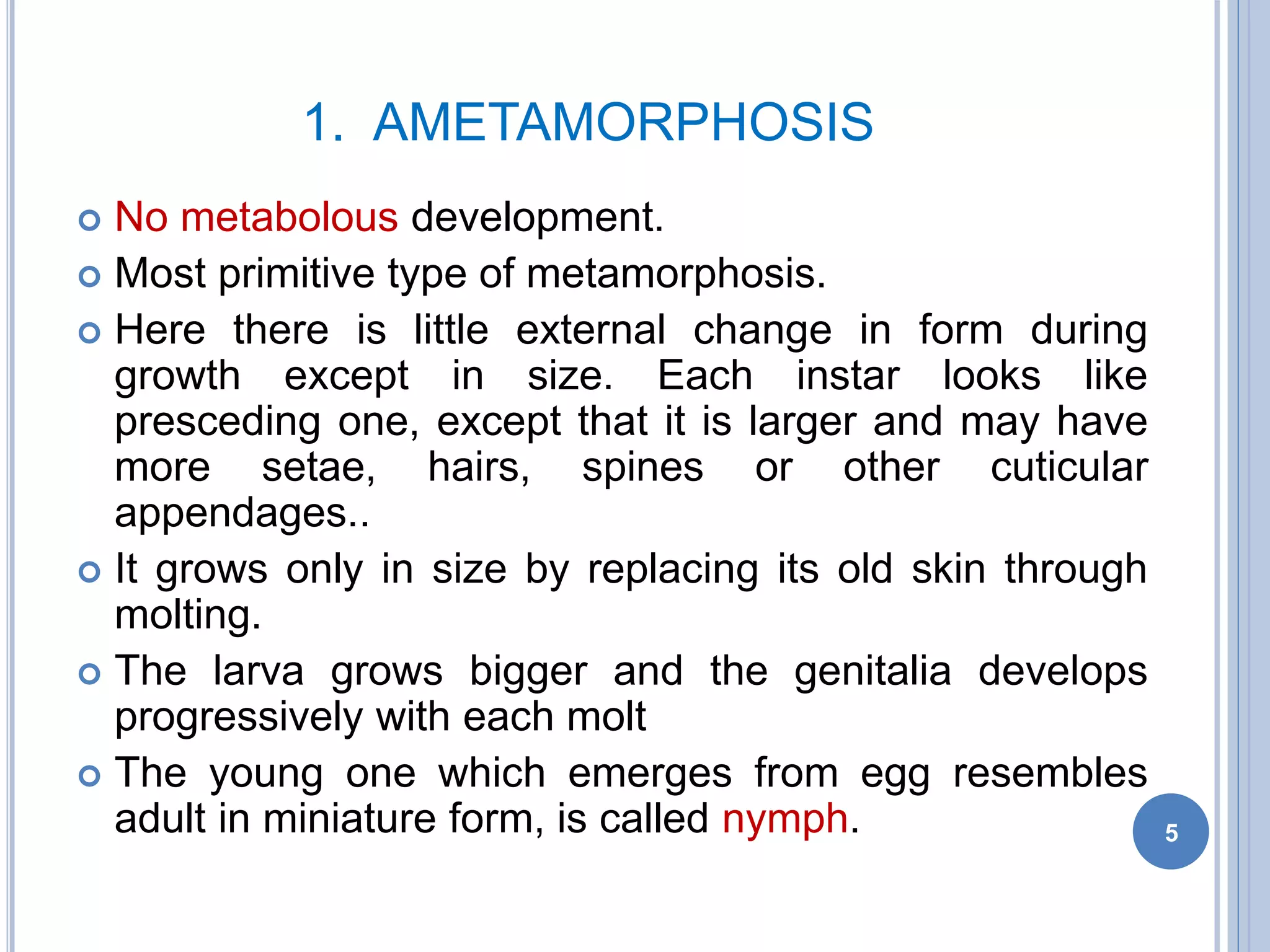 metamorphosis and diapause in insects.pptx