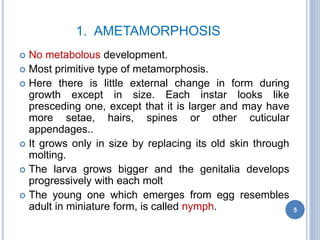 metamorphosis and diapause in insects.pptx