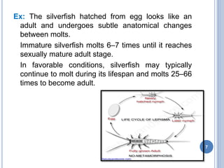 metamorphosis and diapause in insects.pptx