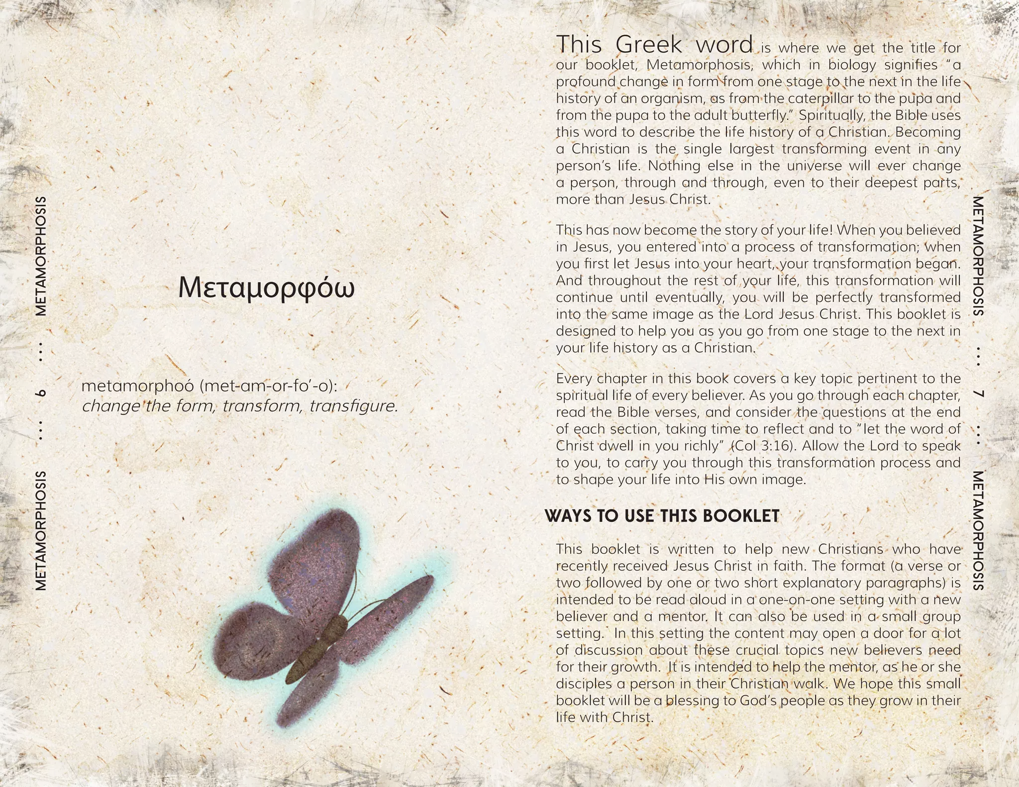 METAMORPHOSIS – A New Believer's Guide | PDF