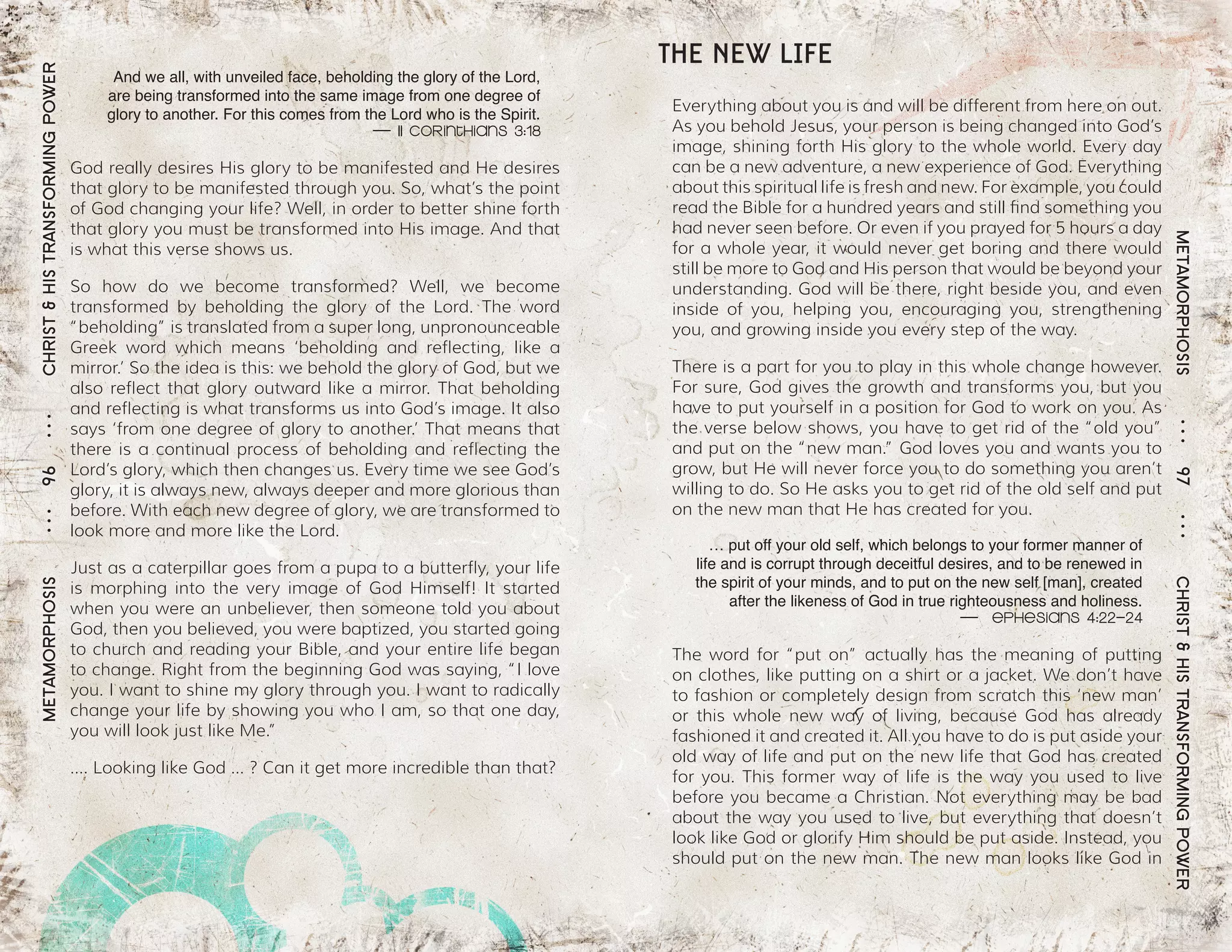METAMORPHOSIS – A New Believer's Guide | PDF