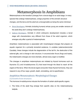 Metamorphosis in Amphibians | PDF