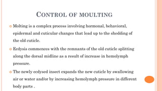 metamorphosis_in_insect_presentation.pdf