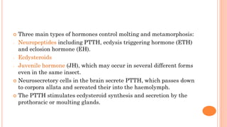 metamorphosis_in_insect_presentation.pdf