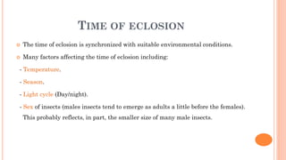 metamorphosis_in_insect_presentation.pdf