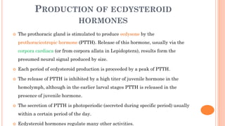 metamorphosis_in_insect_presentation.pdf