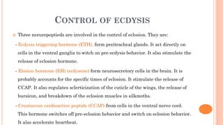 metamorphosis_in_insect_presentation.pdf