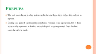 metamorphosis_in_insect_presentation.pdf