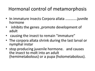 Metamorphosis in insects | PPTX
