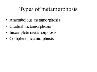 Metamorphosis in insects | PPTX