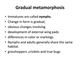 Metamorphosis in insects | PPTX