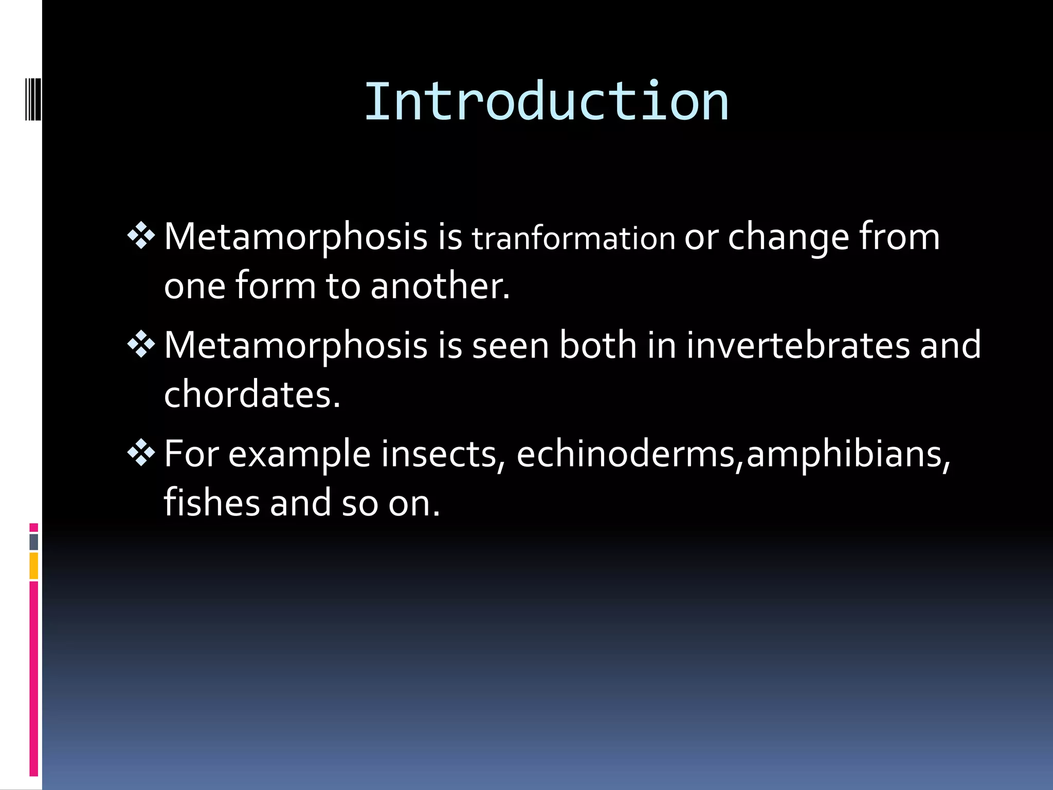 Metamorphosis in insects | PPTX