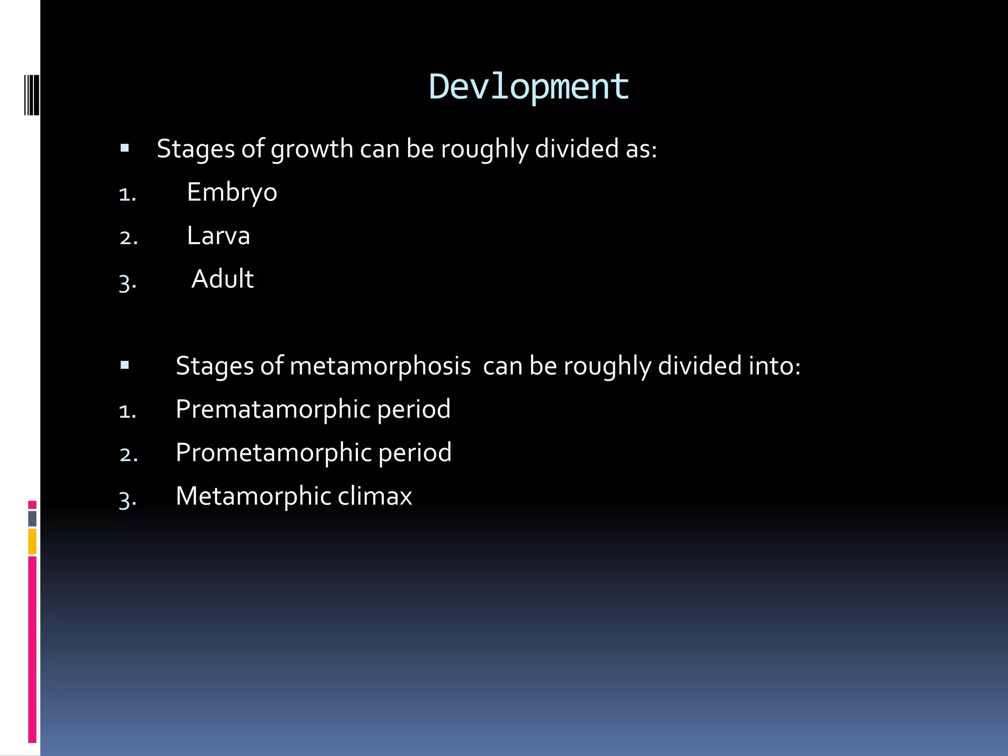 Metamorphosis in insects | PPTX