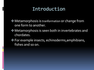 Metamorphosis in insects | PPTX