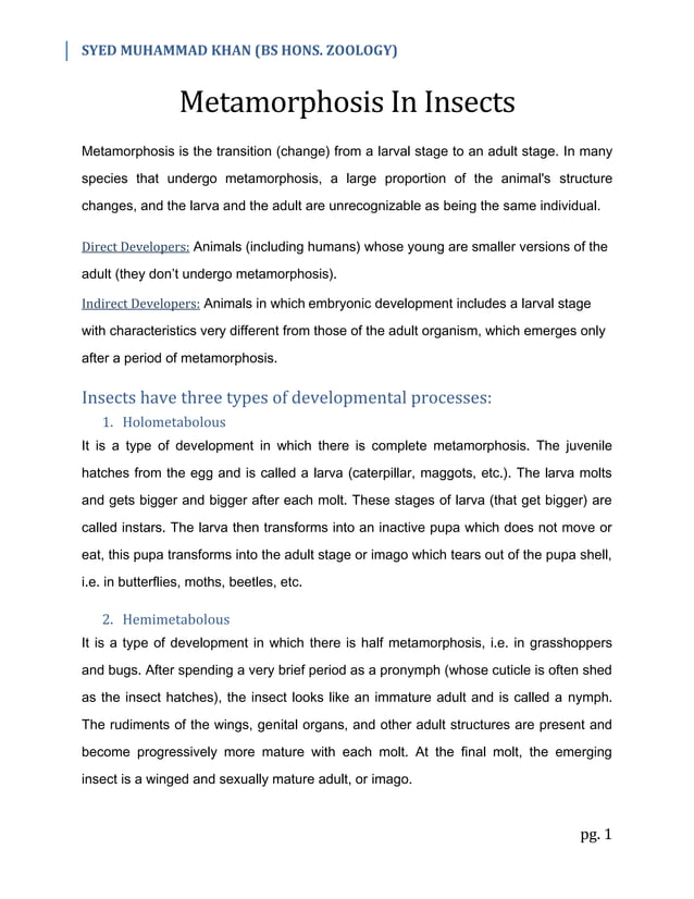 Metamorphosis in Insects | PDF