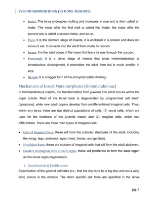 Metamorphosis in Insects | PDF