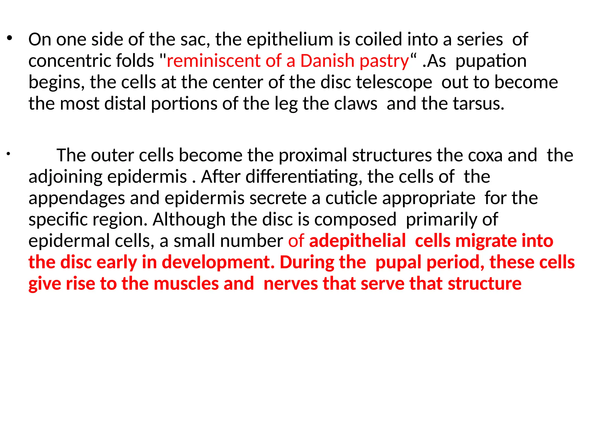 Metamorphosis in Insects. modified 2.pptx