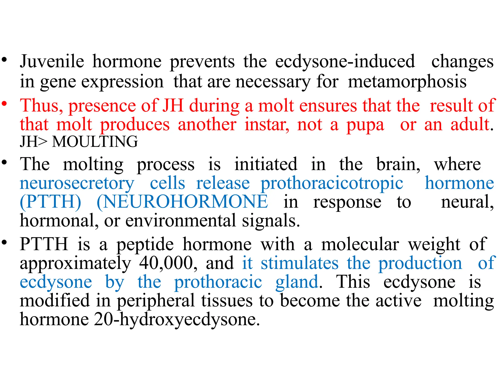 Metamorphosis in Insects. modified 2.pptx