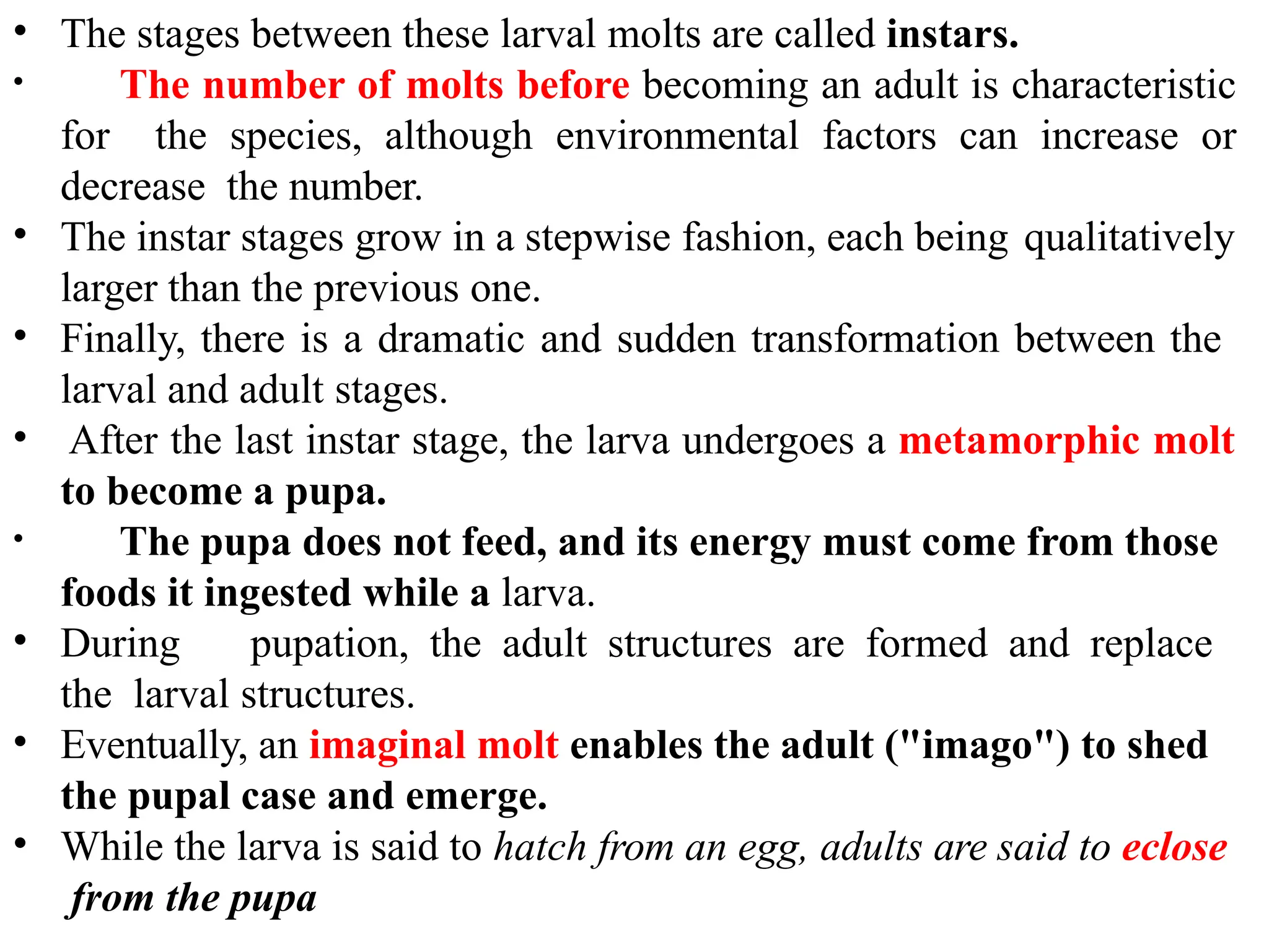 Metamorphosis in Insects. modified 2.pptx