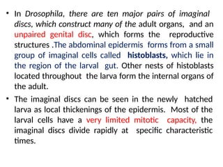 Metamorphosis in Insects. modified 2.pptx