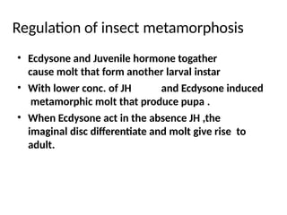 Metamorphosis in Insects. modified 2.pptx