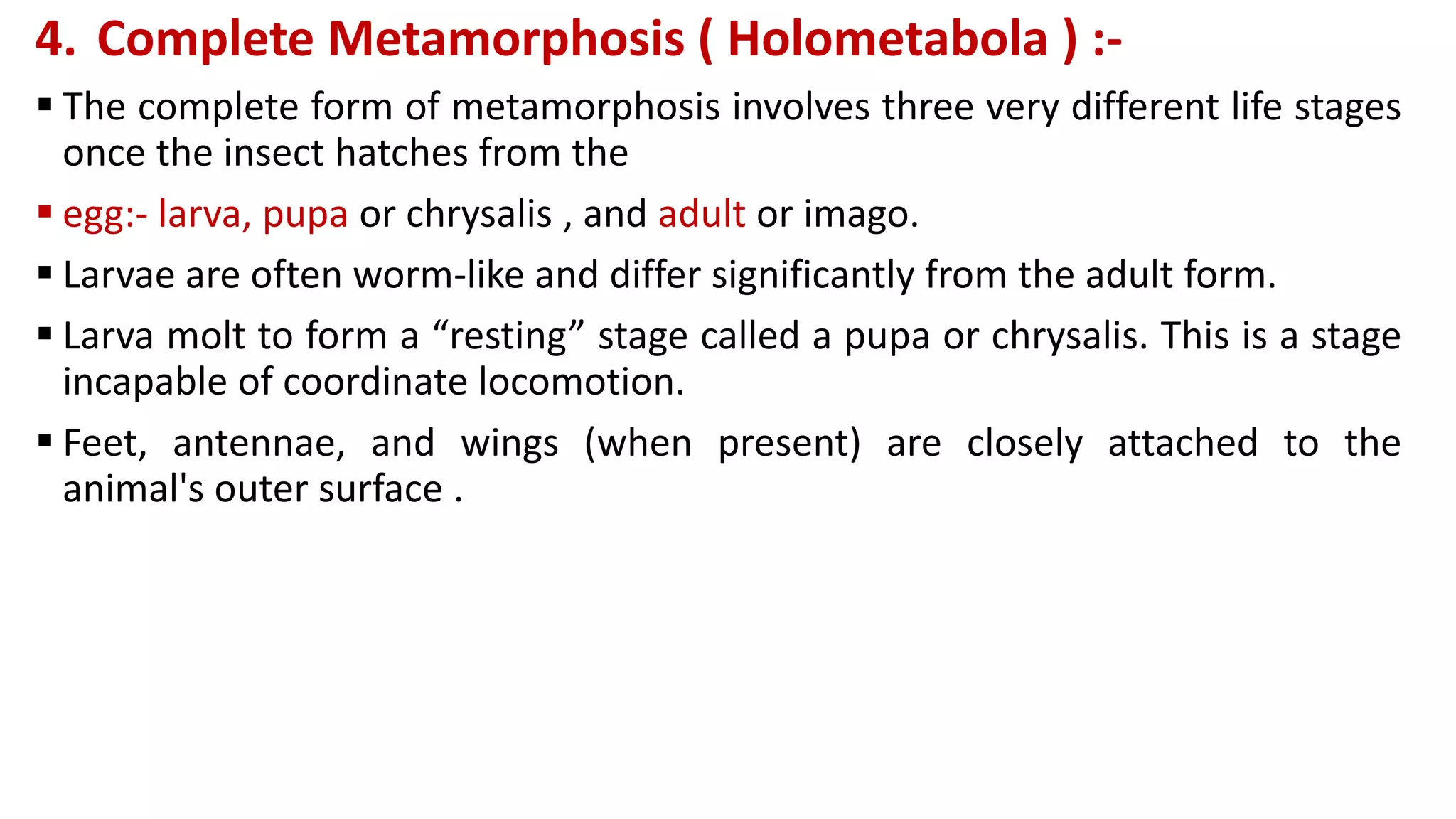 Metamorphosis in insects ppt.pptx