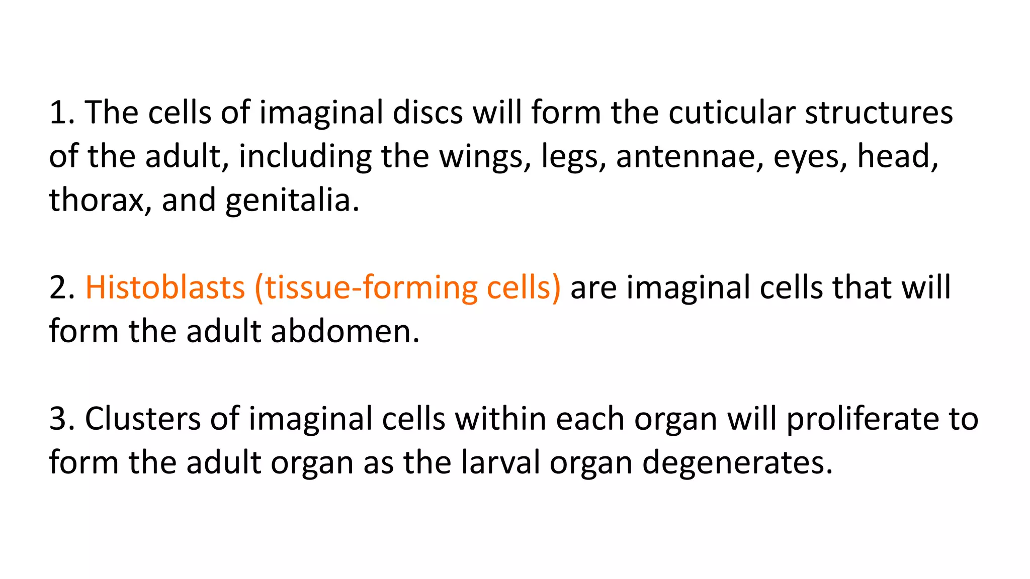 Metamorphosis in insects ppt.pptx