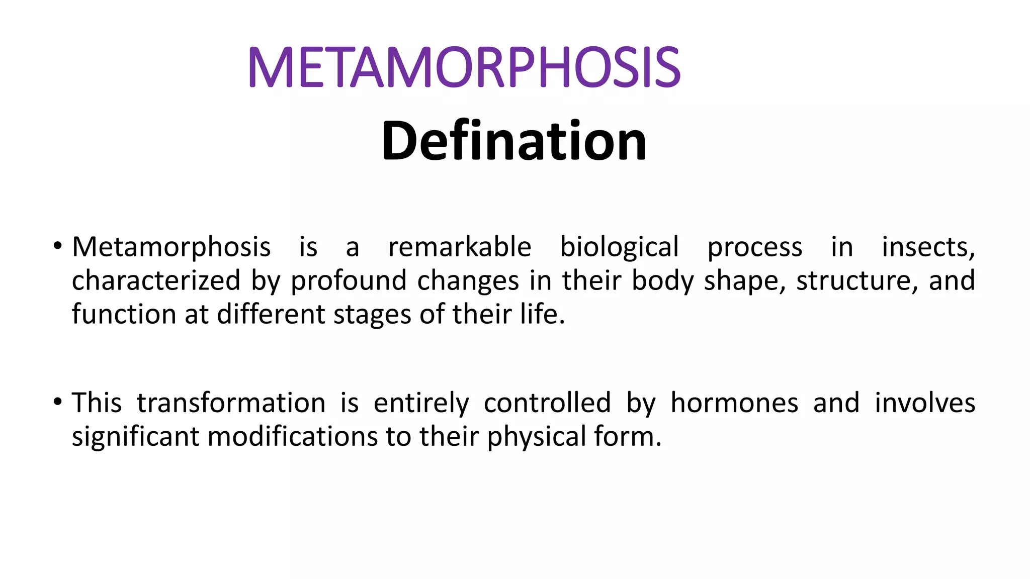 Metamorphosis in insects ppt.pptx