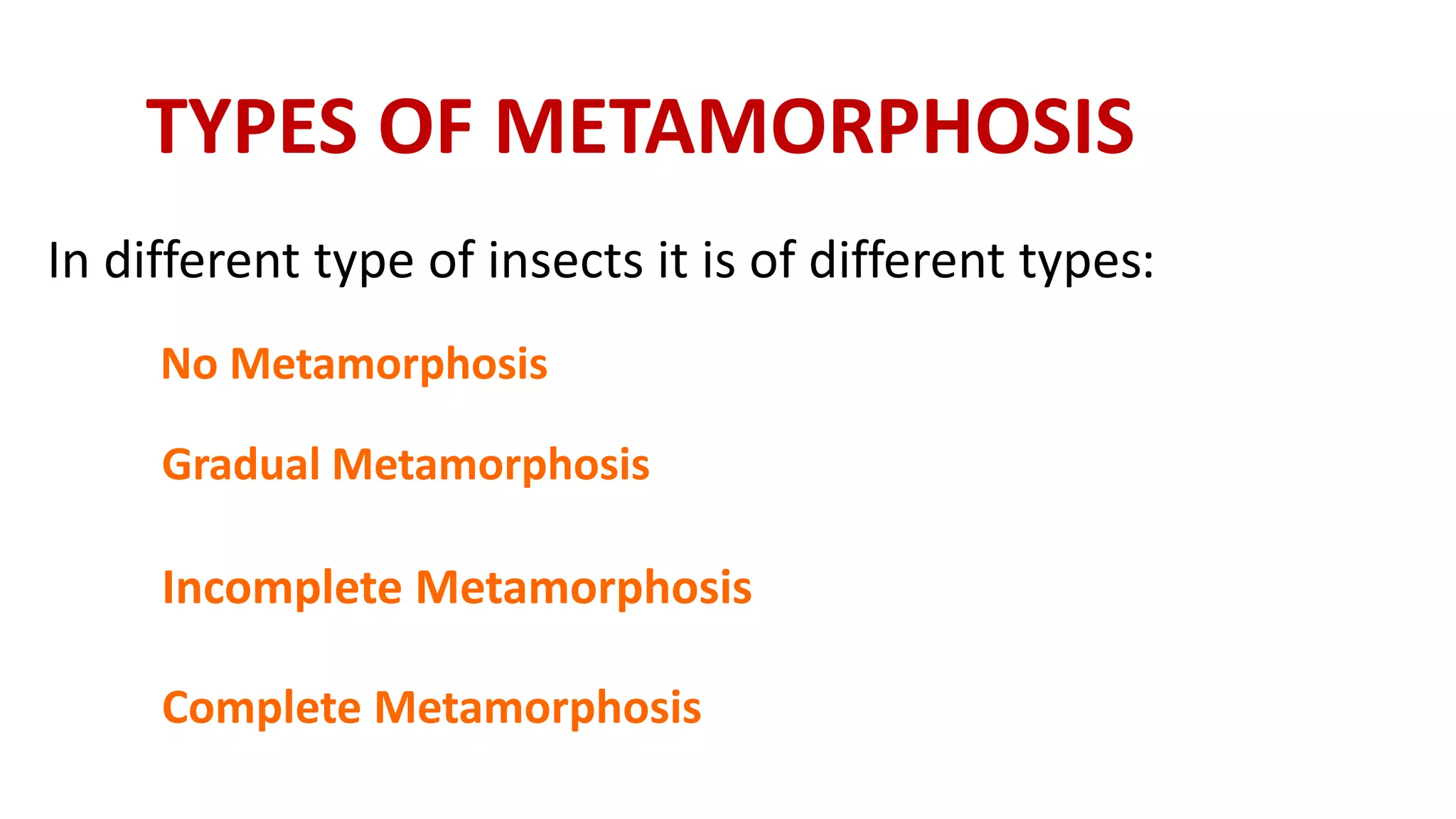 Metamorphosis in insects ppt.pptx