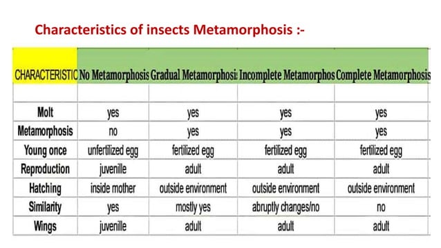 Metamorphosis in insects ppt.pptx | Biological Sciences | Science