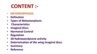 Metamorphosis in insects ppt.pptx