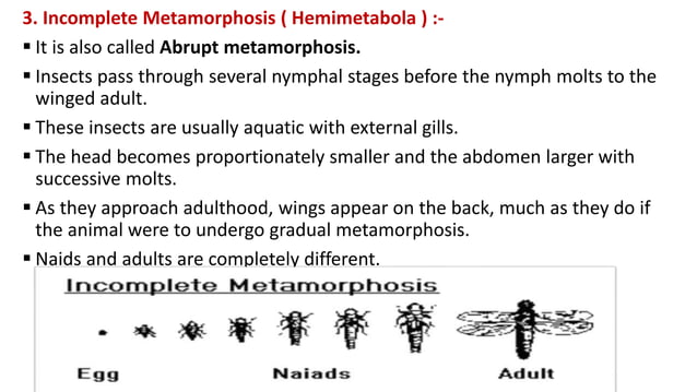 Metamorphosis in insects ppt.pptx | Biological Sciences | Science