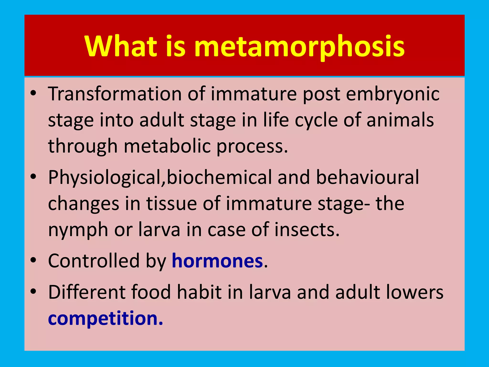 Metamorphosis in lepidoptera | PPT