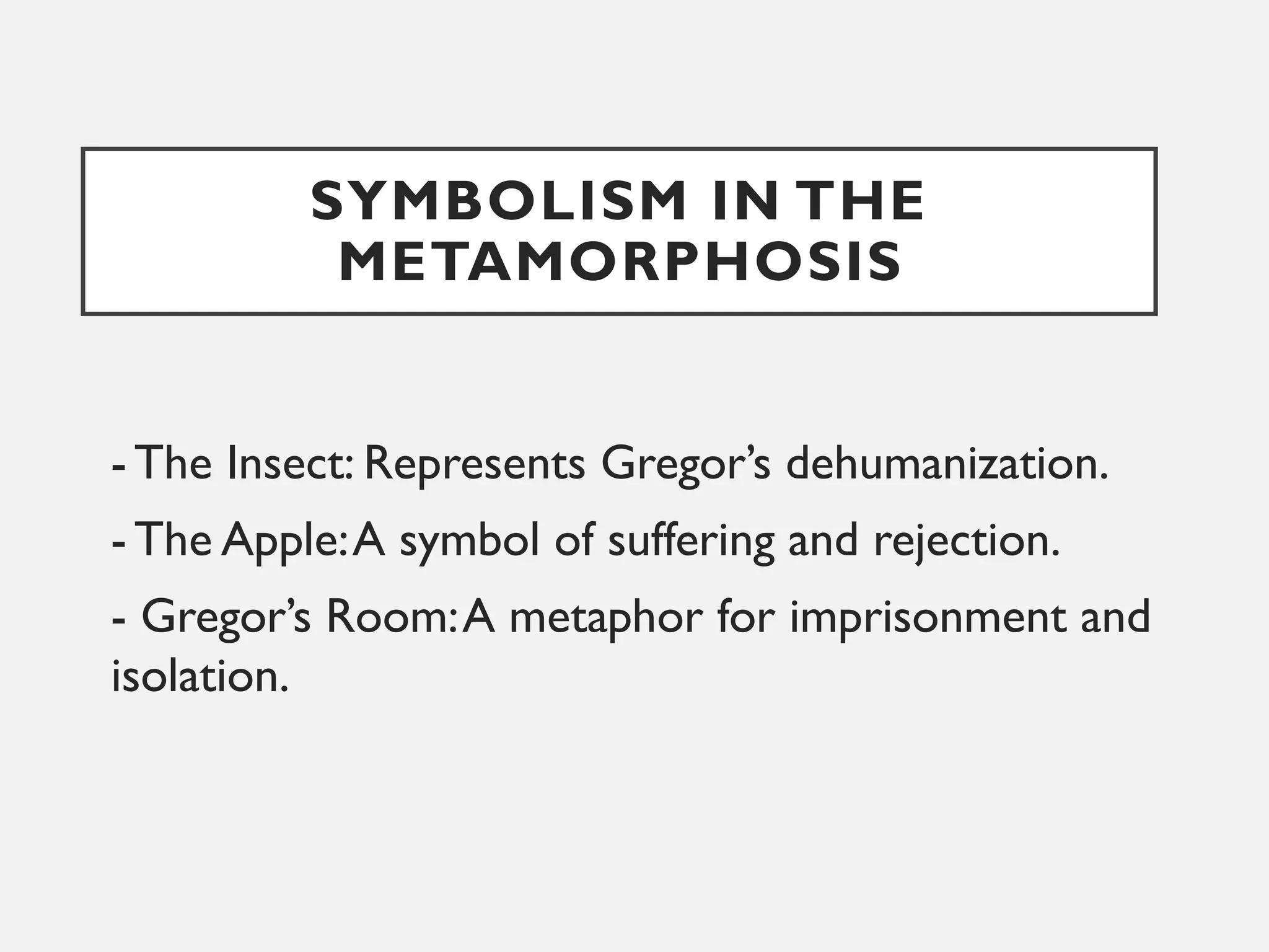 Metamorphosis_fjderurueePresentation-1.pptx