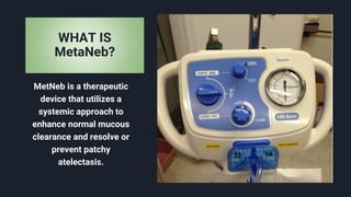 MetaNeb Slideshow | PPT