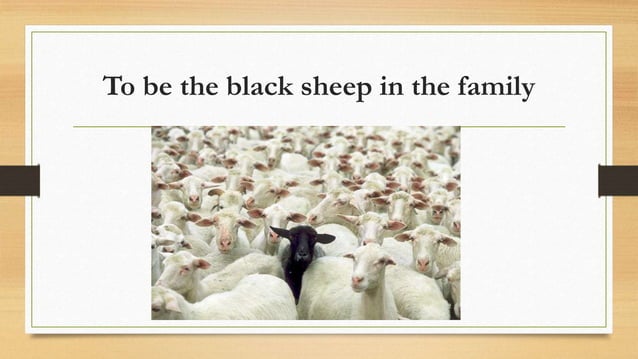 Commonly used English metaphors with pictures | PPTX