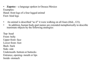 Metaphors of the body | PPT