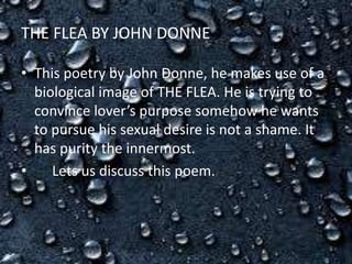Metaphysical poetry flea | PPT