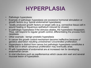 Metaplasia | PPTX