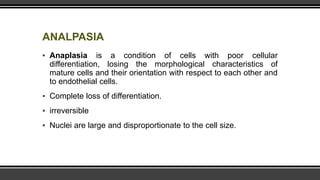 metaplasia PATHOLOGY BY TALHA SHAHID.pptx