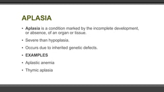 metaplasia PATHOLOGY BY TALHA SHAHID.pptx