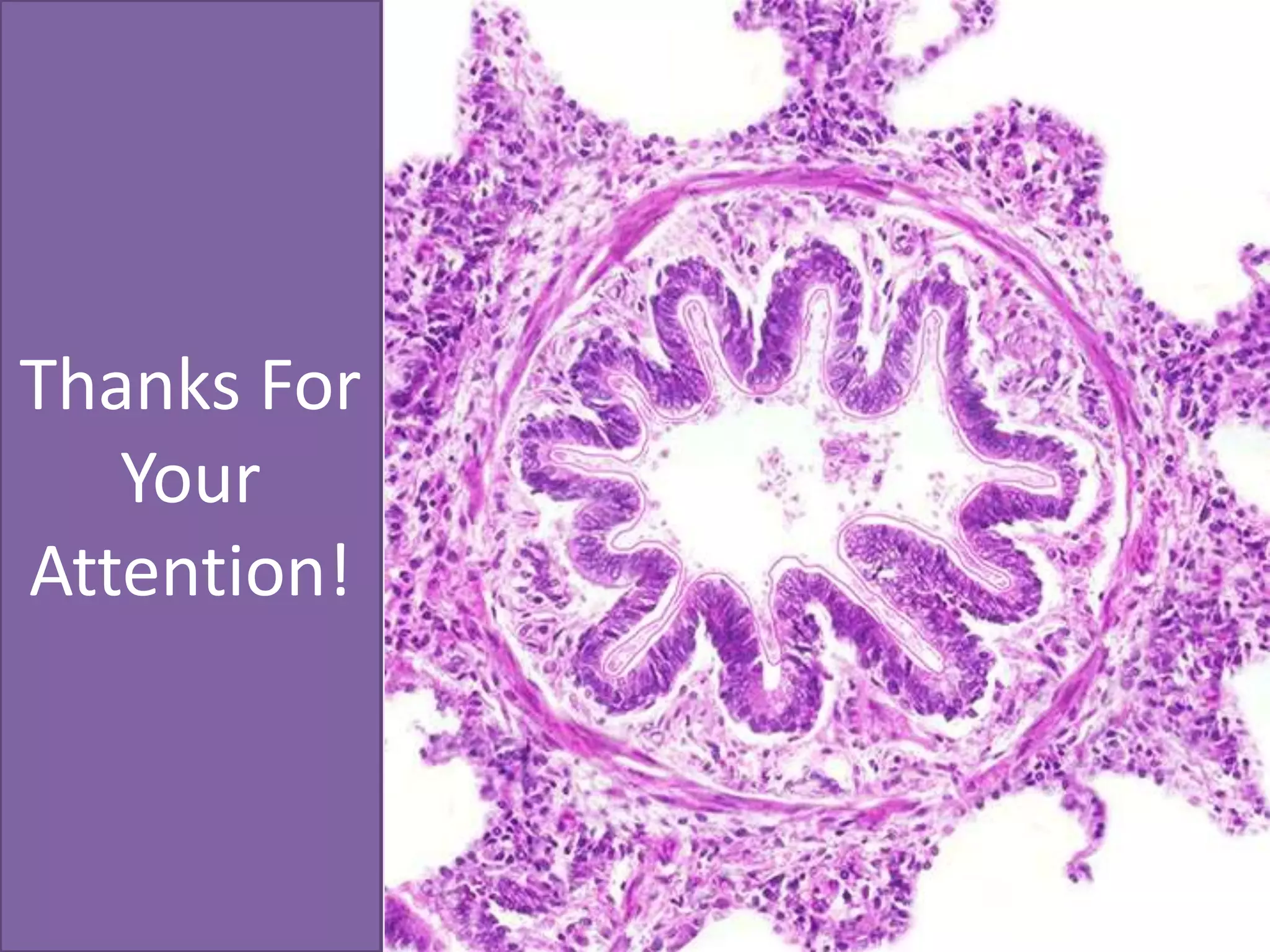 Metaplasia & Dysplasia | PPTX