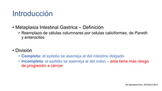 Metaplasia Intestinal Gastrica | PDF